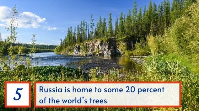 TOP 10 Interesting facts about Russia - Смотреть онлайн в поиске ...