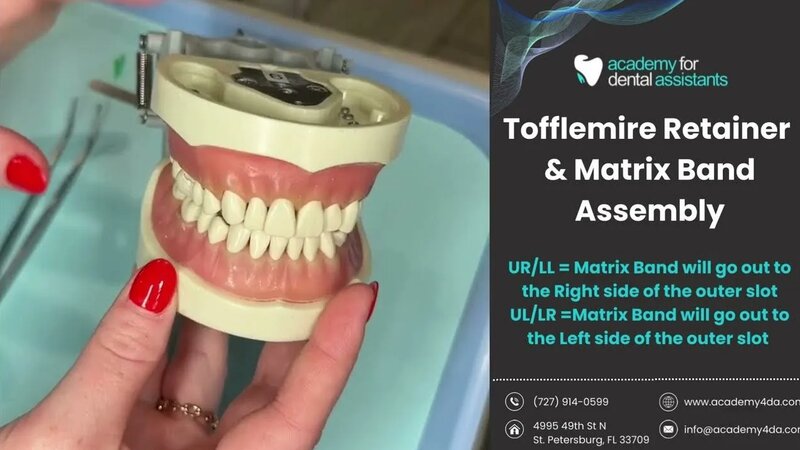 Tofflemire Retainer and Matrix Band Assembly - Academy for Dental ...