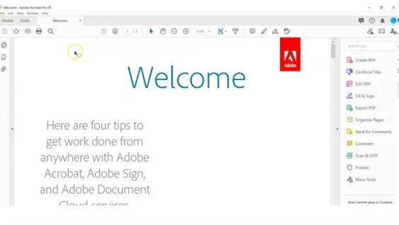 adobe acrobat pdf editor pro portable: 855 video Yandex'te bulundu