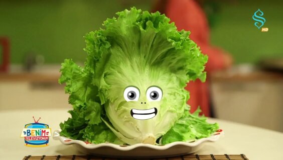 marul: 935 video Yandex'te bulundu