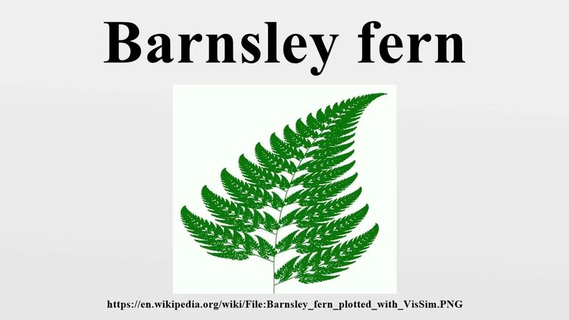 Barnsley fern - Смотреть онлайн в поиске Яндекса по Видео