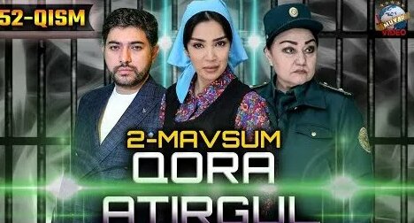 Vorislar kariya seryali 25 qism