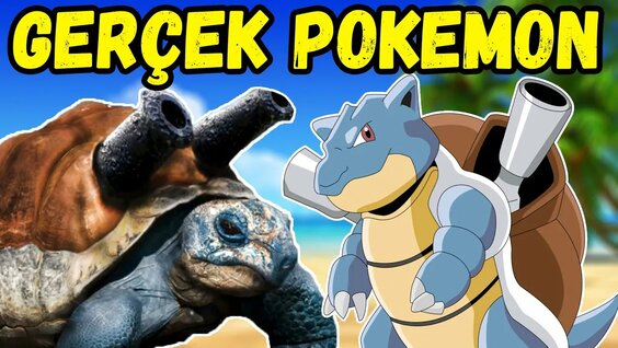 pokemon isimleri ve resimleri: 743 video Yandex'te bulundu