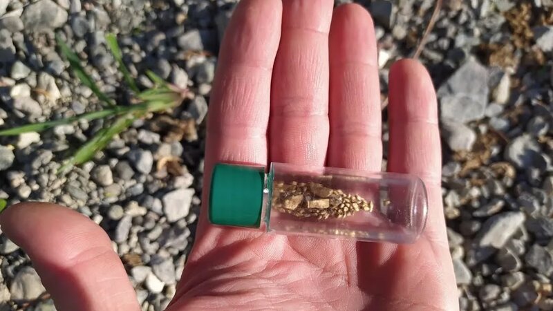 Kurumuş derede altın yatağı bulduk derede altın arama - Yandex Video ...