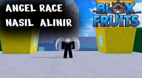 Angel race nasıl alınır, V2 ve V3 yapma - roblox blox fruit türkçe ...