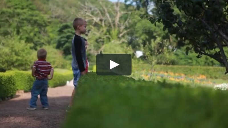 Matty Taking a Pee at Kylemore Abbey