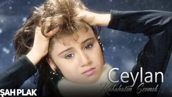 ceylan resimleri boyama: 944 video Yandex'te bulundu