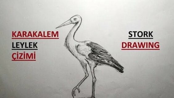 leylek çizimleri: 737 video Yandex'te bulundu