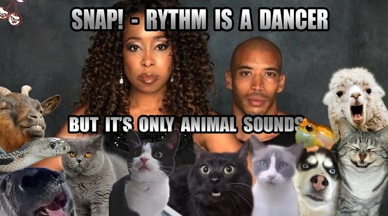 Snap! - Rythm Is A Dancer (Animal Cover) [ONLY_Animal_Sounds] — Видео ...