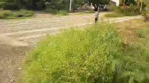 Incez Zicuiran - Incez Zicuiran was live. - Смотреть онлайн в поиске ...