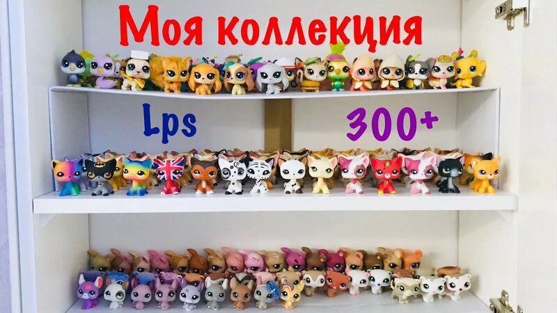 Lps: моя коллекция littlest pet shop - Смотреть онлайн в поиске Яндекса ...