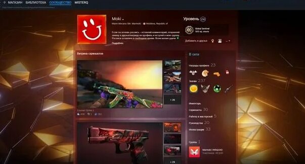 Настоящий Steam аккаунт Marmok (Moki) - Смотреть онлайн в поиске ...