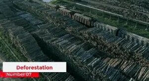 Top 10 Major Global Environmental Issues In The World - List Of Global ...