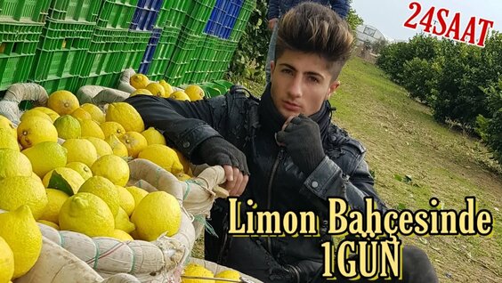 limon bahçesi: 901 video Yandex'te bulundu