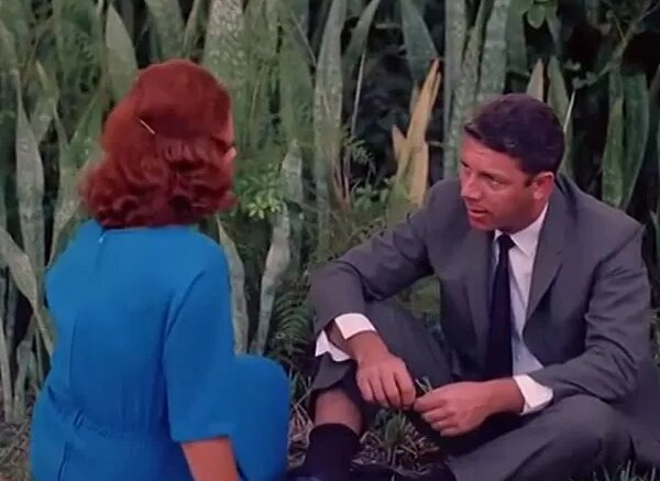 Gentlemen Prefer Nature Girls (1963) — Видео от Hollywood's Golden Age ...