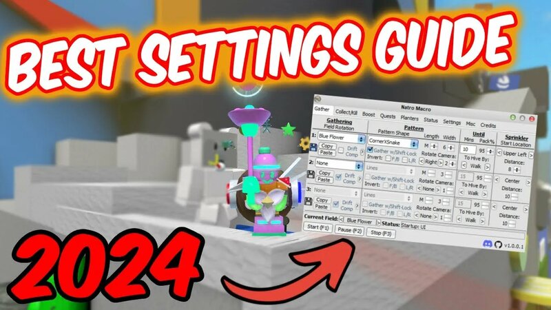 The *BEST* All In One Natro Macro Settings Guide (Versions 1.0.0 ...