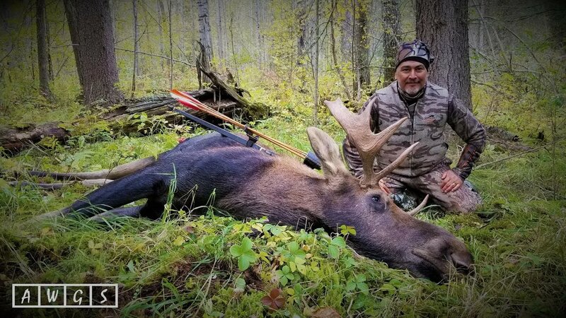 Canada Moose Archery Hunts with AWGS in Alberta, Canada - A Moose for ...