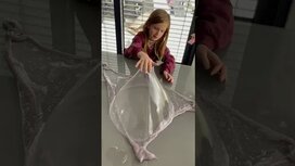 Vicineko | Fischl x Slime [WIP] - Watch online in Yandex video search