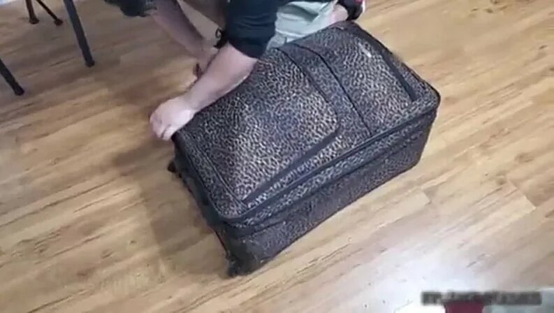 invaded mugged bound mummified suitcase — Видео от Packaged ...