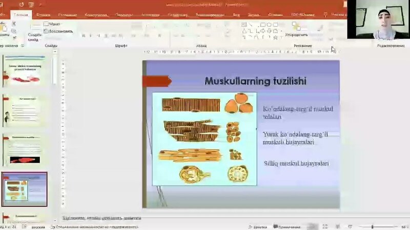 Muskul tuzilishi, muskullarning turlari va ishlashi - Смотреть онлайн в ...