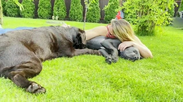 "Town Party" - find full video on silesto.com - смотреть видео онлайн от «Учим Реактивный Код» в ...