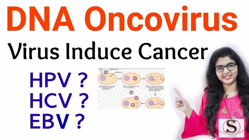 DNA Oncoviruses / Virus Induce Cancer / Oncogenic viruses - Смотреть ...