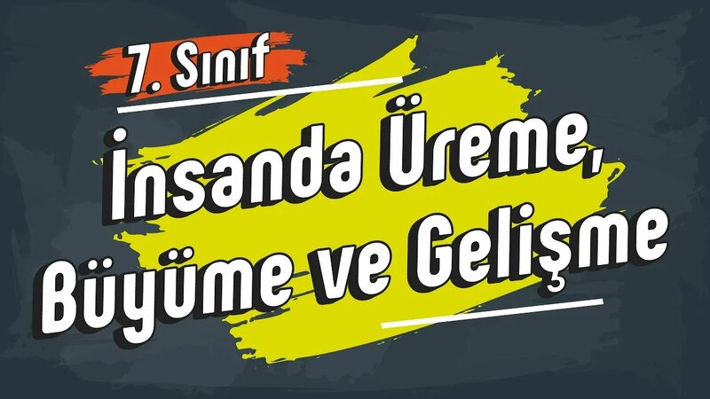 İnsanda Üreme, Büyüme ve Gelişme | 7. Sınıf #2025 - Yandex Video ...