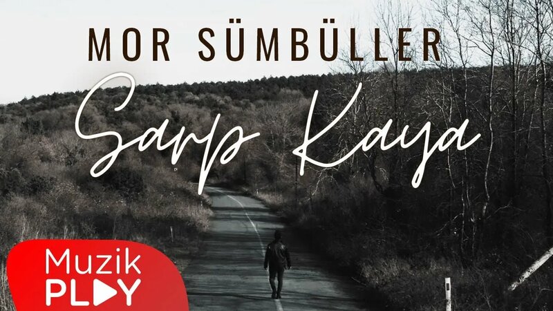 Sarp Kaya - Mor Sümbüller (Official Lyric Video) - Yandex Video aramada ...