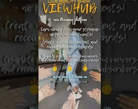 Viewhub - a new kind of interactive online entertainment with the ...