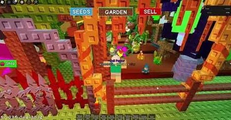 How to get The "StoneBite" Seed in Grow a Garden? Roblox - Смотреть ...