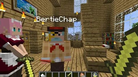 Minecraft SEXY GIRL ART & Wallpaper!