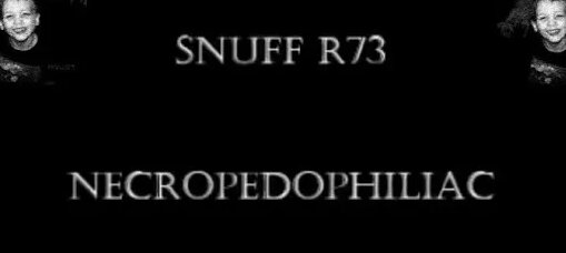 Snuff R73 Review - Yandex Video aramada çevrimiçi izle