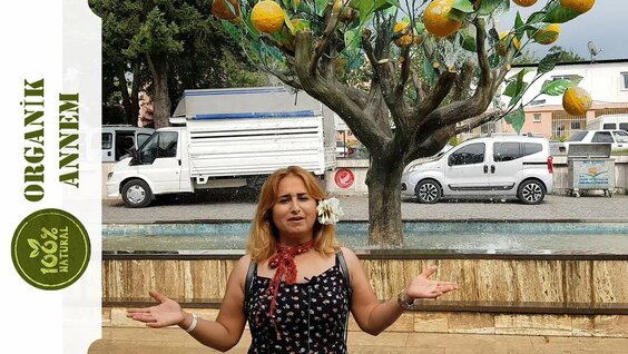 hatay erzin kaplıcaları: 791 video Yandex'te bulundu