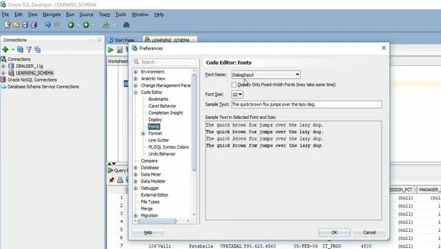 How to Change Oracle SQL Developer Font Type & Font Size | Oracle SQL ...