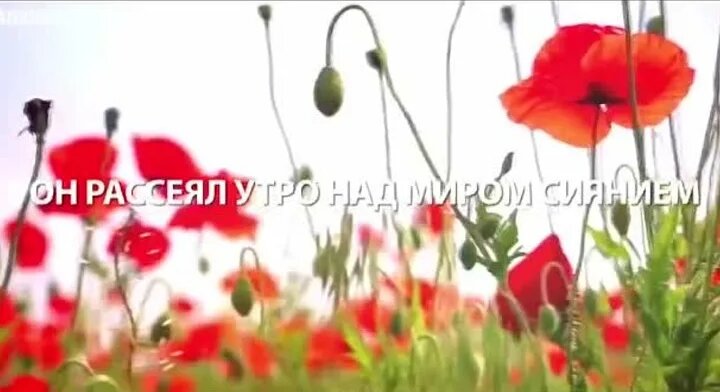 Muhammad AL Muqit - nashida - Смотреть онлайн в поиске Яндекса по Видео