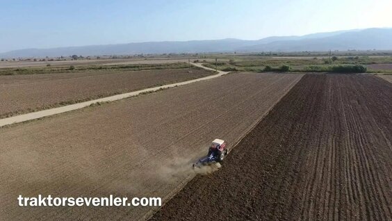 tarla resimleri: 1 bin video Yandex'te bulundu