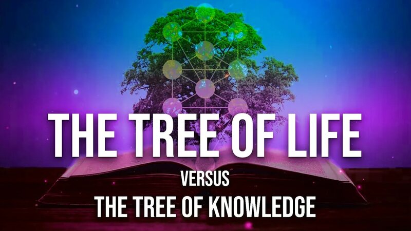 Tree of Life Vs. The Tree of Knowledge - Смотреть онлайн в поиске ...