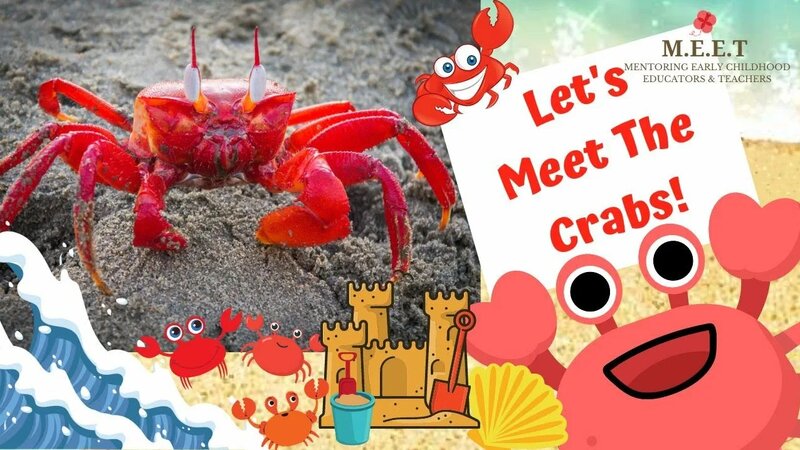Let's Learn About Crabs! | preschool learning videos 4 kids (types of ...
