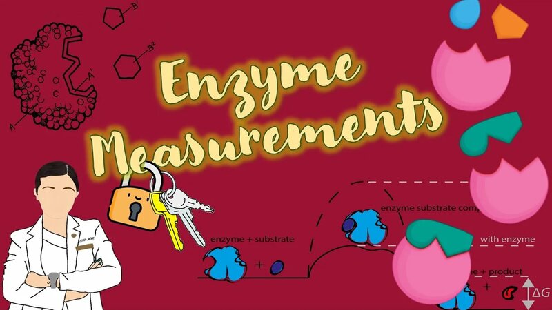 Enzymes - Смотреть онлайн в поиске Яндекса по Видео