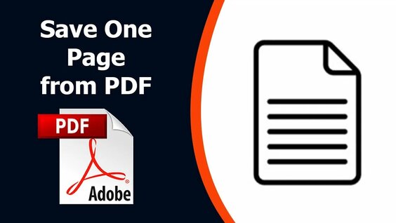 Adobe Acrobat Pro Dc 2022 Torrent 895 Video Yandex te Bulundu