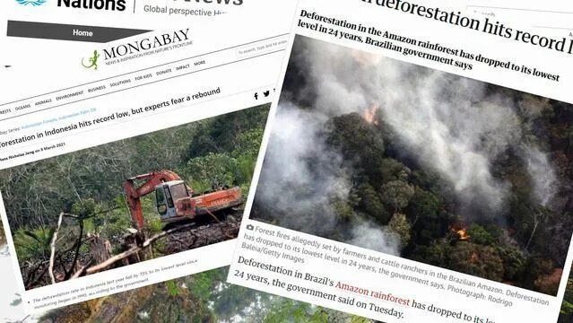 Deforestation - Смотреть онлайн в поиске Яндекса по Видео