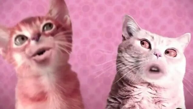 How Preview 2 Numa Cat Turns Into Center Effects - Смотреть онлайн в ...