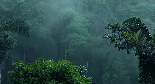 2 часов успокаивающий звук дождя и музыка пианино для сна. Сильный ...