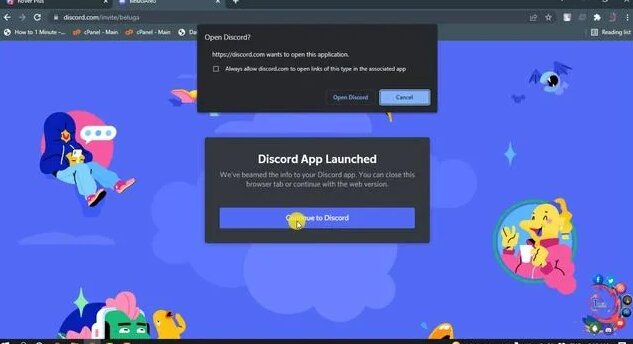 How to Join Official Beluga Discord Server 2024 - Смотреть онлайн в поиске Яндекса по Видео