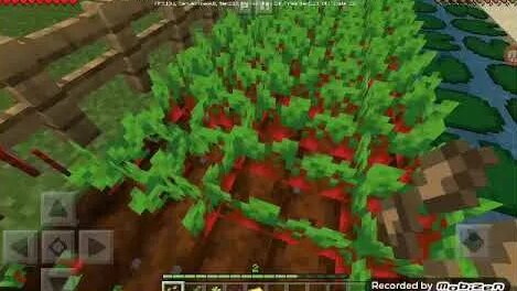 minecraft kasaba craft map: 883 video Yandex'te bulundu