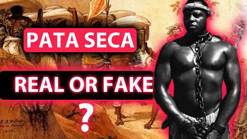 Pata Seca: The Story Of A Slave Breeder | REAL Or FAKE ? - Смотреть ...