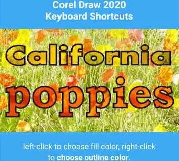 coreldraw 2020 key generator: 895 video Yandex'te bulundu