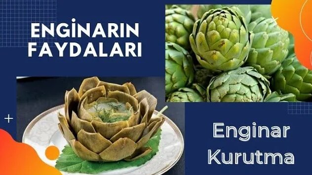 Enginarin Faydalari / Enginar Nasıl Temizlenir / Enginar Kurutma ...