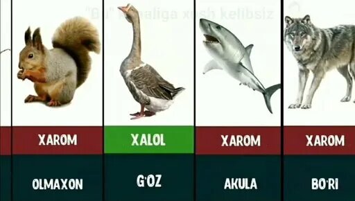 Dunyodagi eng chiroyli ism bu Sevinch. | Chiroyli ismlar | ismlarga ...