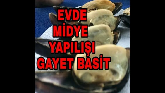 midye çizimi: 1 bin video Yandex'te bulundu